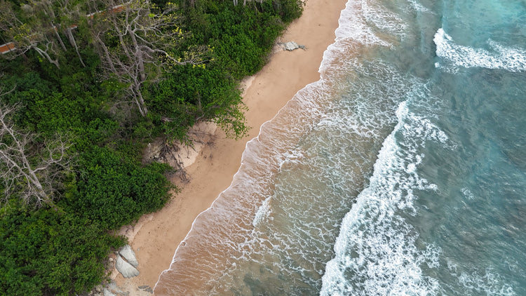 Protecting Our Oceans Together: Our Partnership With CleanHub – Misona